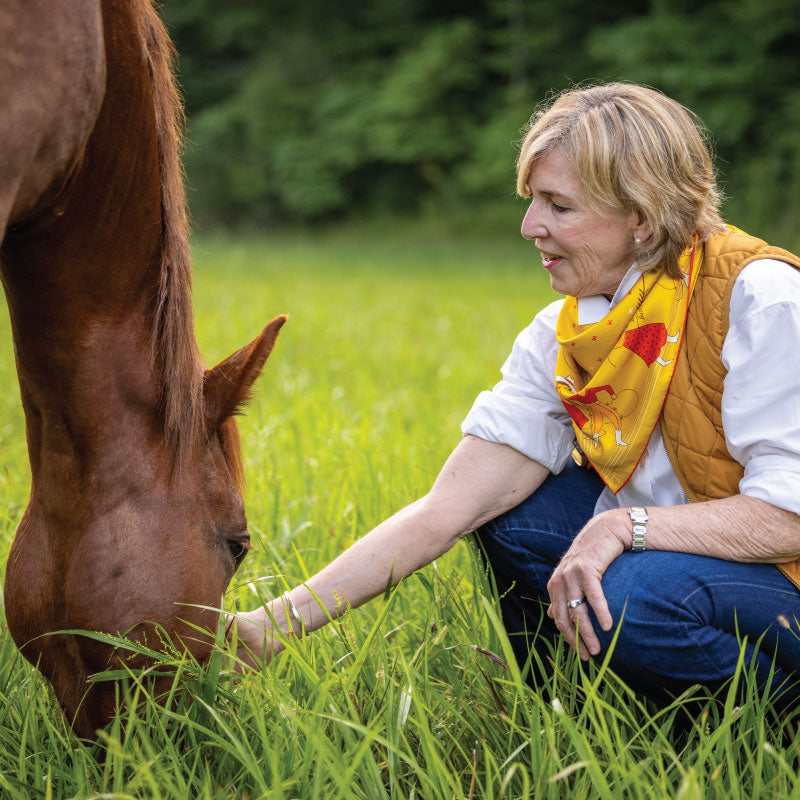 'buck up buckaroo' silk scarf – Jenni Earle