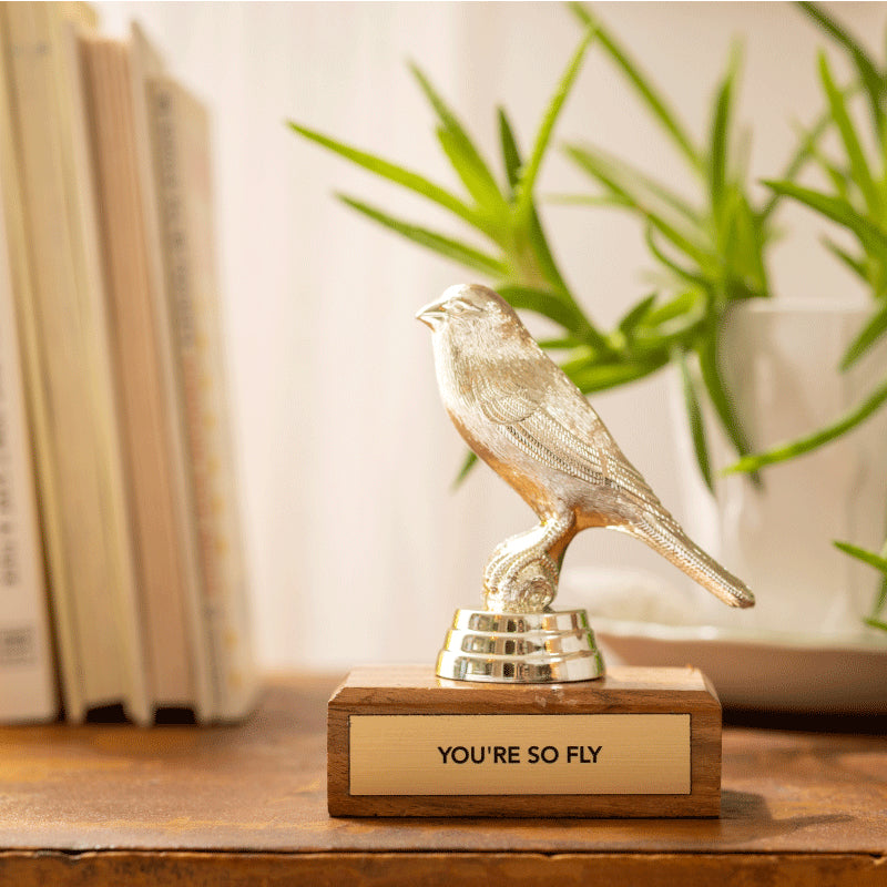 YOU'RE SO FLY trophy – Jenni Earle